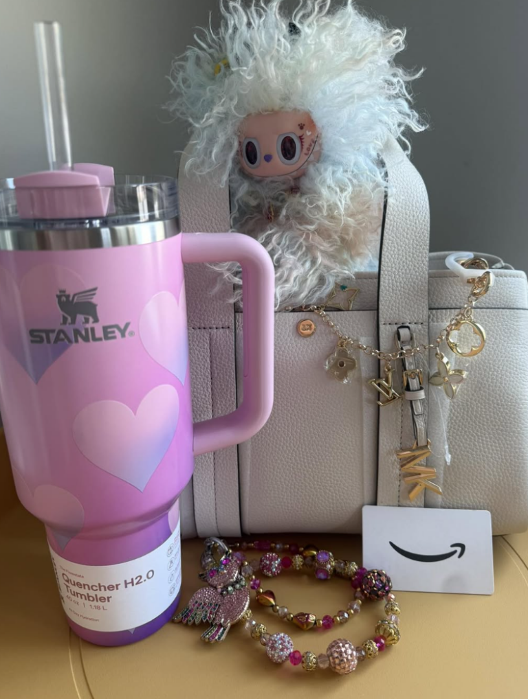 Jan 6th Stanley Prize Pack - Freebie Mom